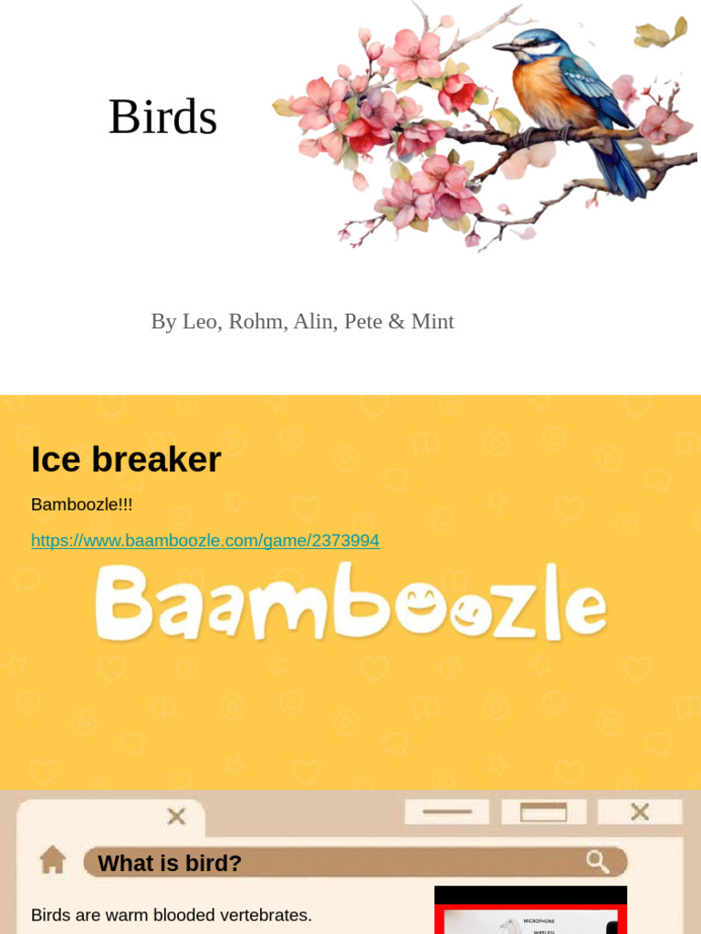 Understanding Birds: Traits and Life Cycle | PDF | Birds | Egg