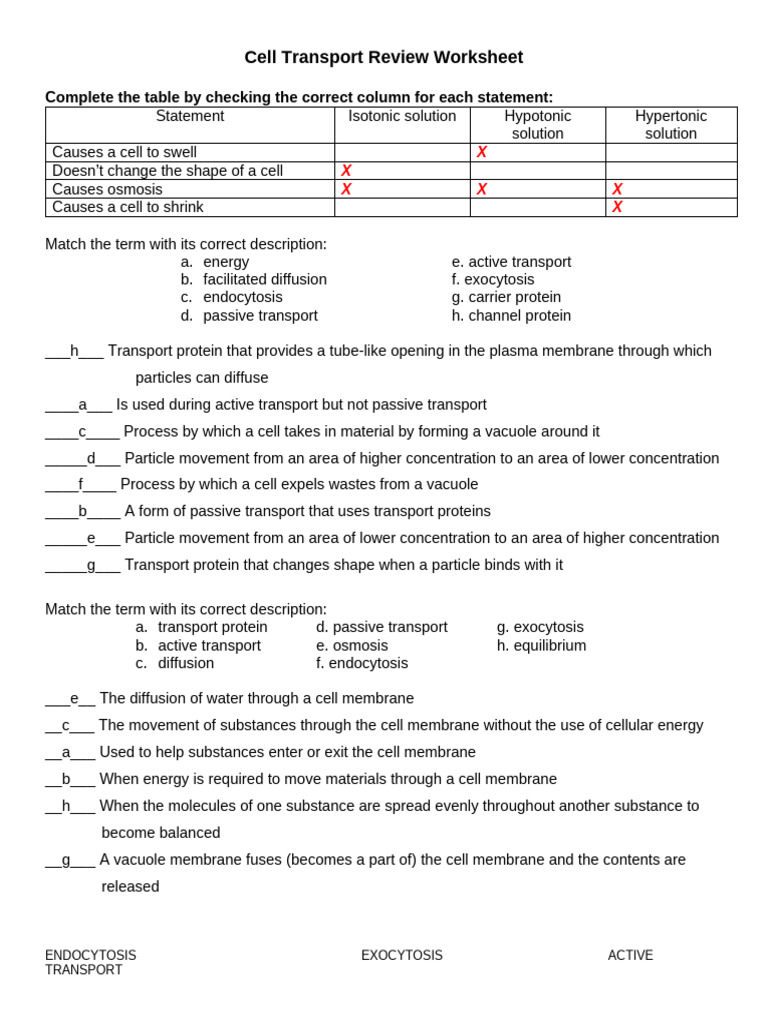 Transport Mechanism Answer | PDF | Osmosis | Cell Membrane