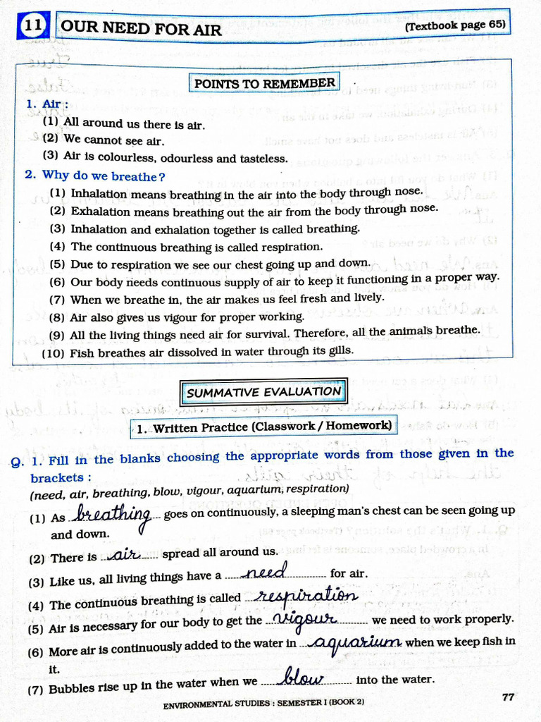 3rd Evs Lesson 11 1 | PDF