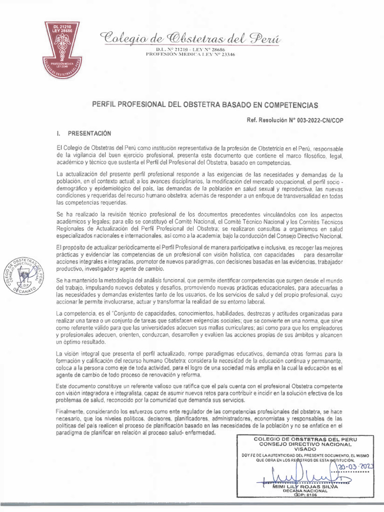 Perfil Profesional.pdf | PDF