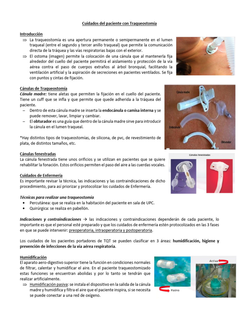 Cuidados Del Paciente Con Traqueostomía | PDF | Sistema respiratorio ...