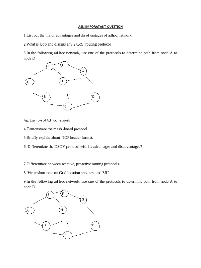 Important Asn Questions | PDF