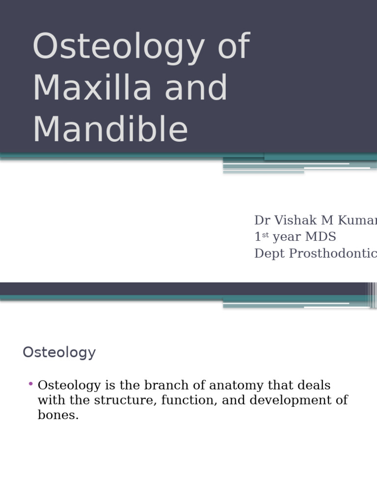 Osteology of Maxilla and Mandible | PDF | Human Nose | Face