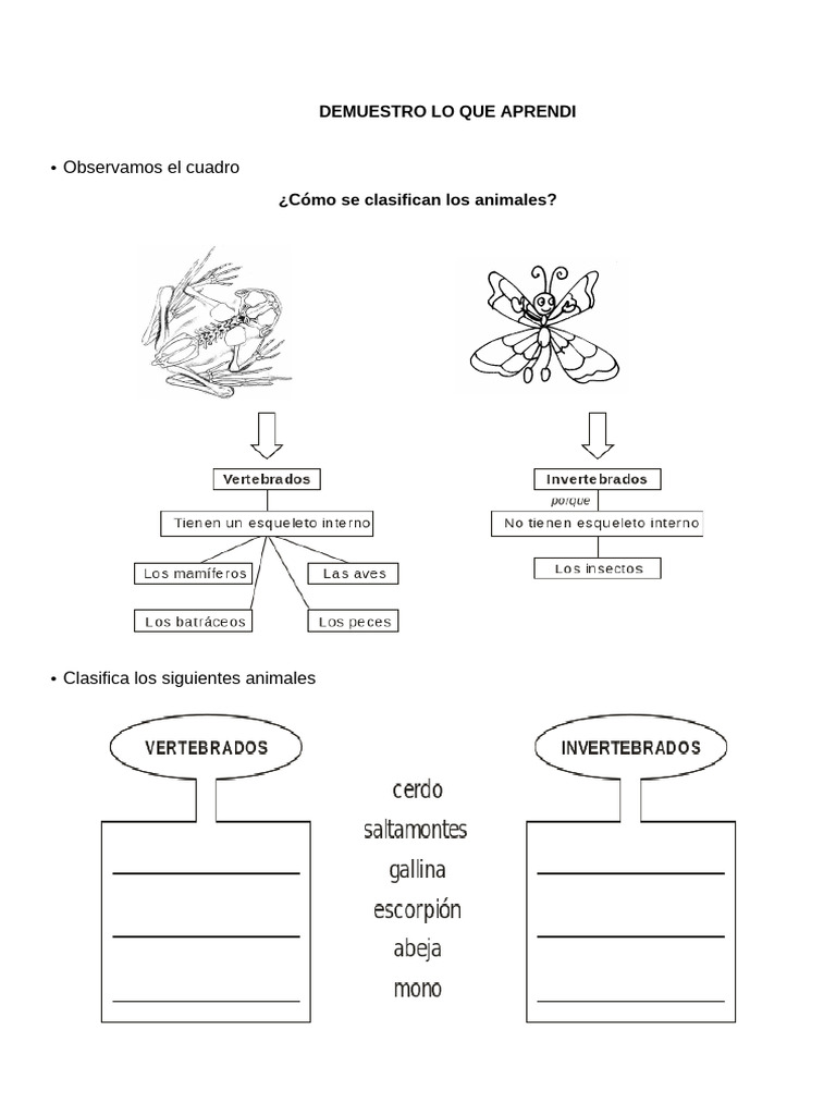 Fichas Final de Clasificacion D Elos Animales | PDF