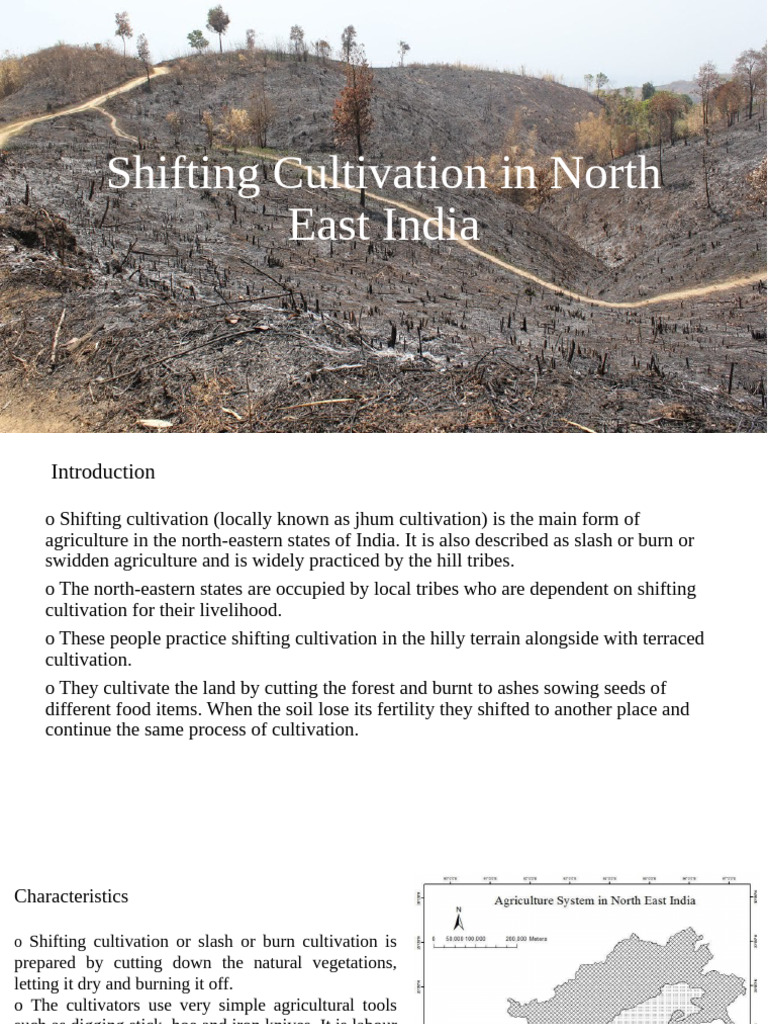 Shifting Cultivation | PDF | Agriculture | Soil