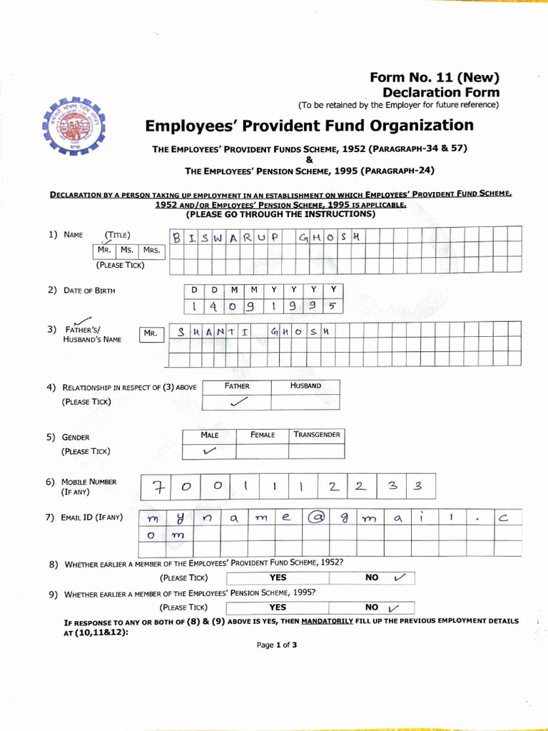 EFP FORM SAMPLE | PDF