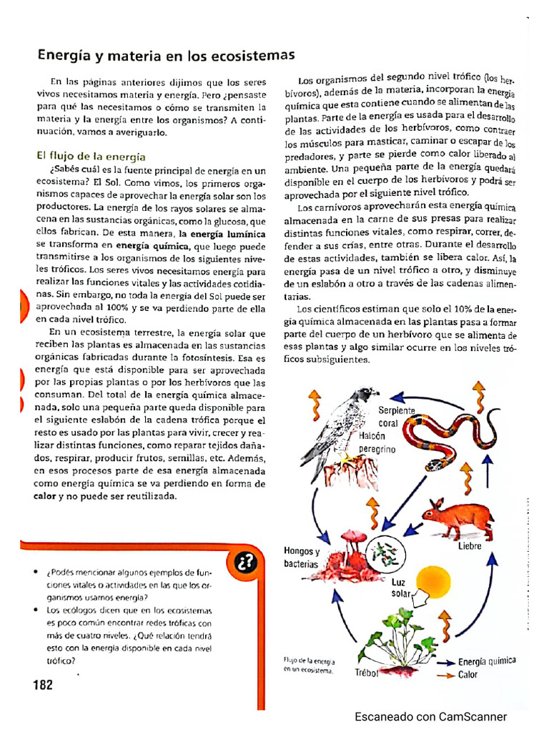 La Energia y La Materia en Los Ecosistemas | PDF