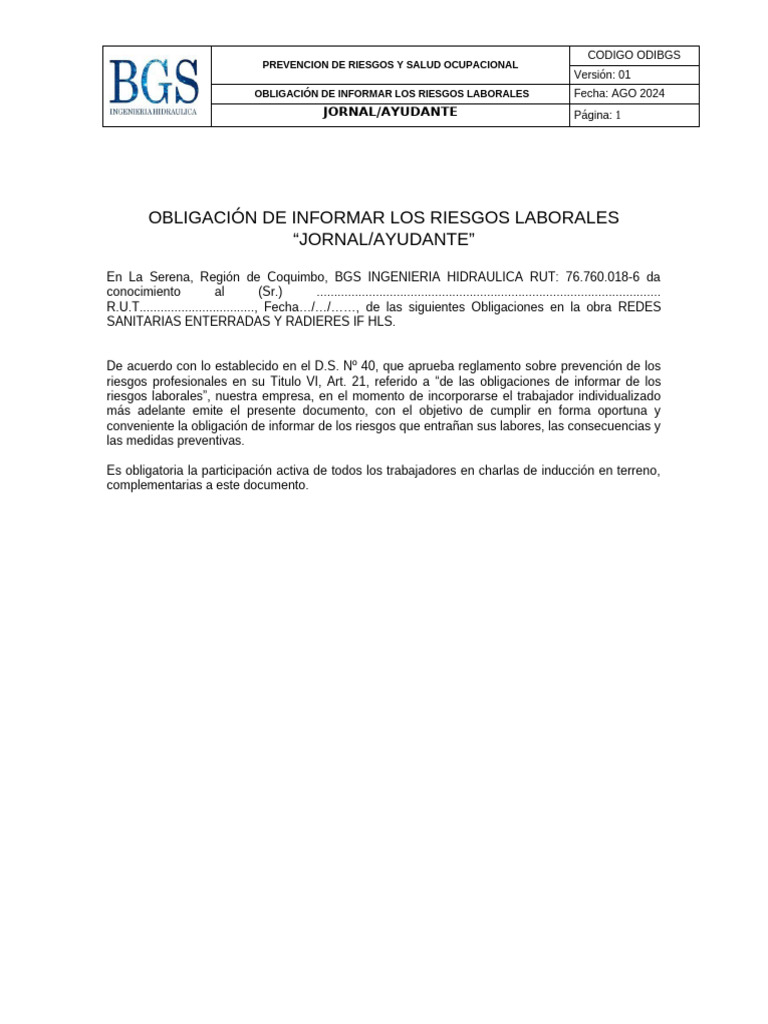 Odi Jornal Bgs | PDF | Seguridad y salud ocupacional | Medicina CLINICA