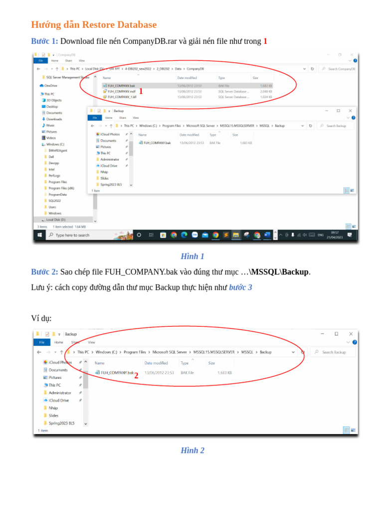 Hướng dẫn Restored database | PDF
