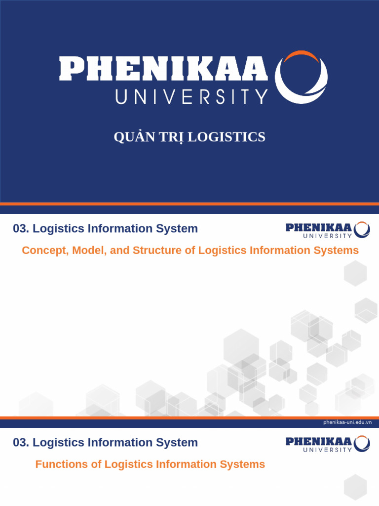Logistics Information System | PDF