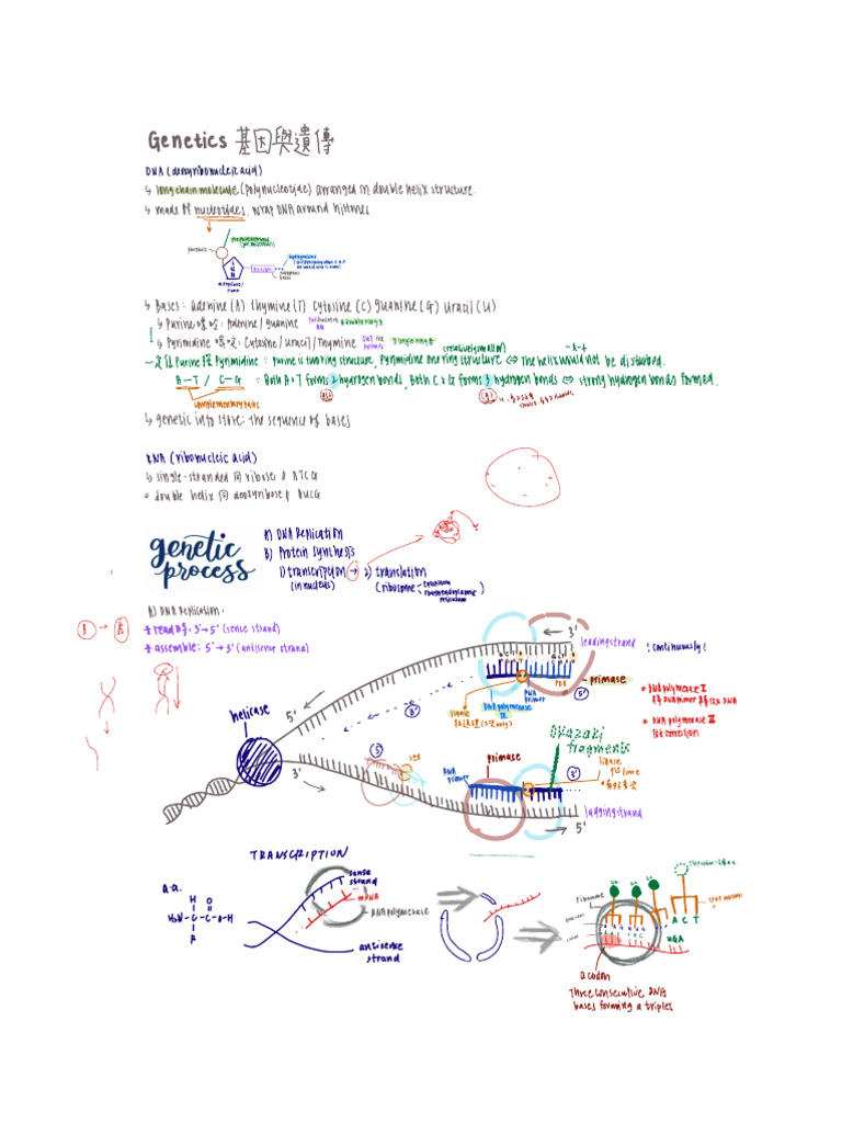 3. Genetics | PDF | Biochemistry | Chemistry