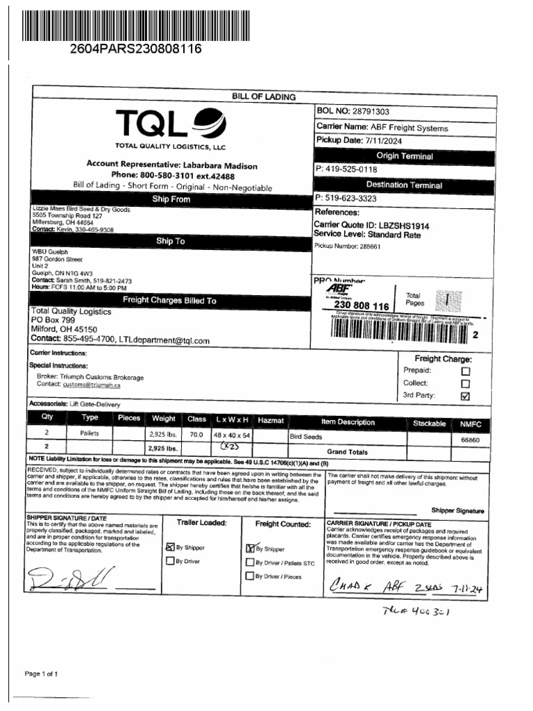 IMPORT PERMIT LIZZIE MAES | PDF