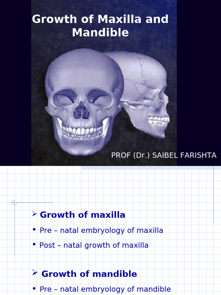 Maxilla and Mandible Growth Overview | PDF | Skull | Human Head And Neck