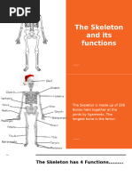 GCSE PE Skeleton Overview | PDF | Anatomy | Musculoskeletal System