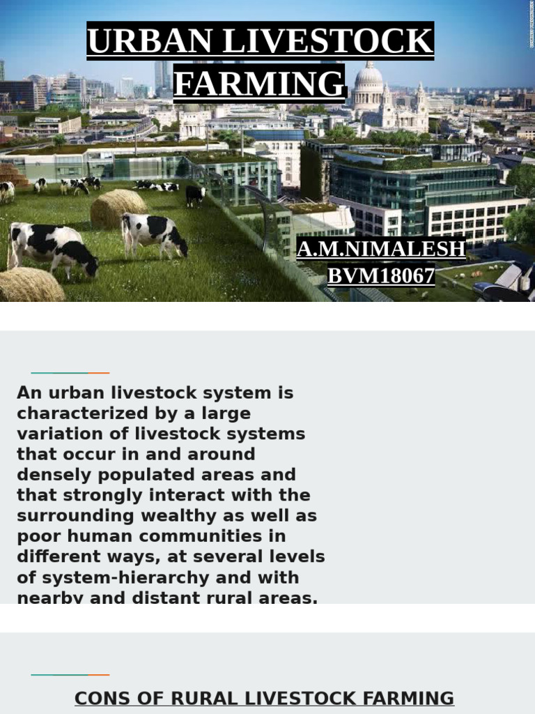 Urban Livestock Farming | PDF | Agriculture | Livestock