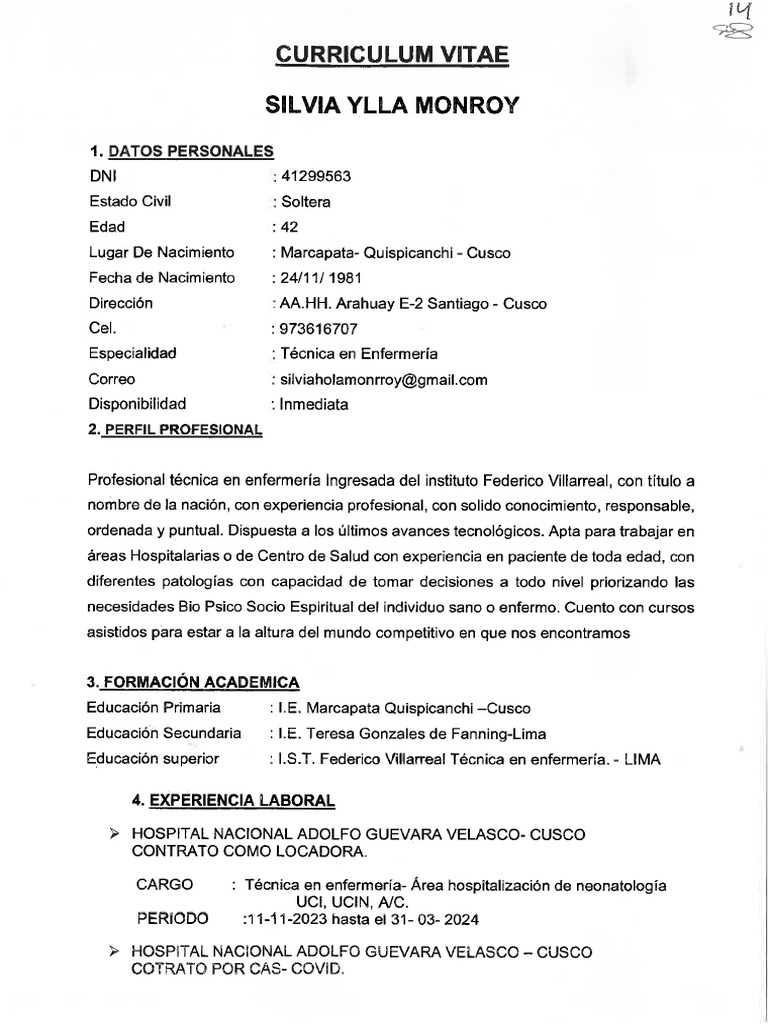 CV SILVIA YLLA MONROY | PDF