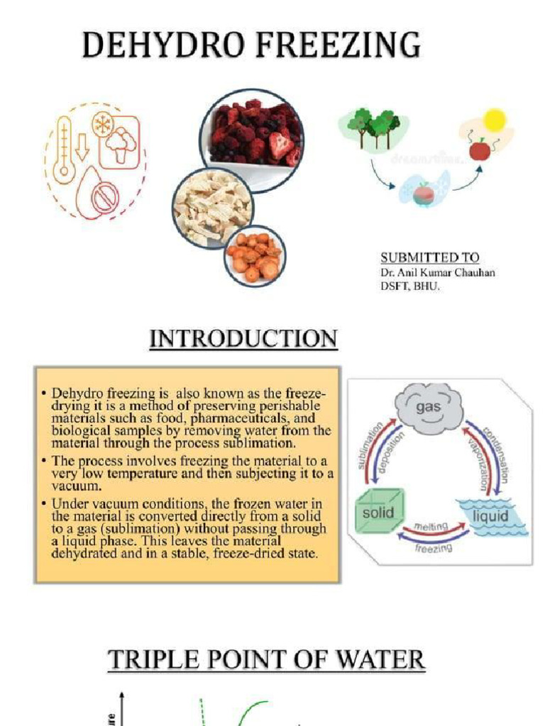 Dehydrofreezing | PDF