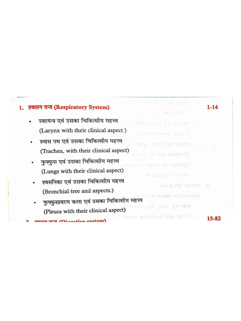 (Bams Library) Respiratory System Anatomy | PDF