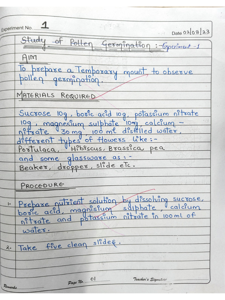 Physics Class 12 Practical | PDF | Flowers | Plant Reproduction