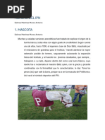 Misión y valores del IPN | PDF