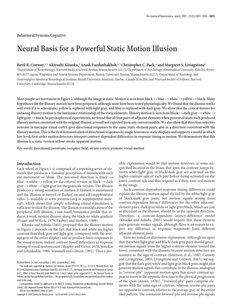 Neural Basis For A Powerfull Static Motion Illusion | PDF | Illusion | Visual Cortex