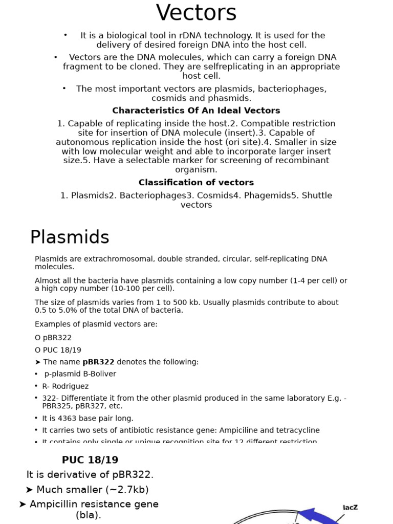 Overview of Vectors in Biotechnology | PDF | Plasmid | Bacteriophage