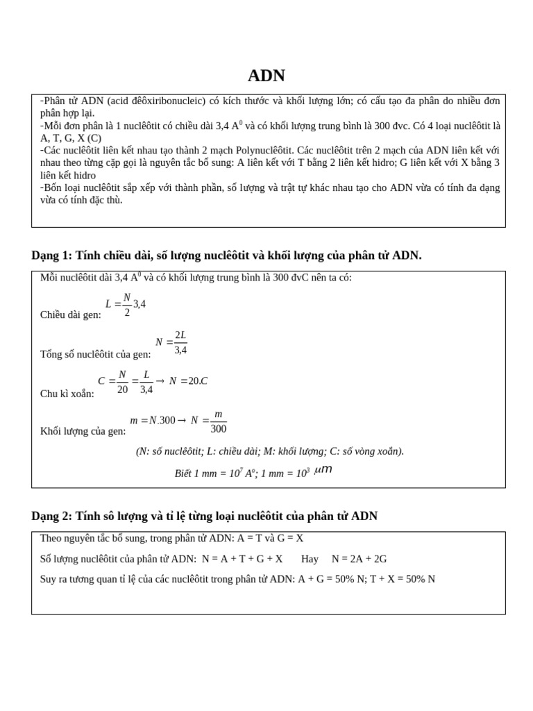 Lý thuyết ADN | PDF