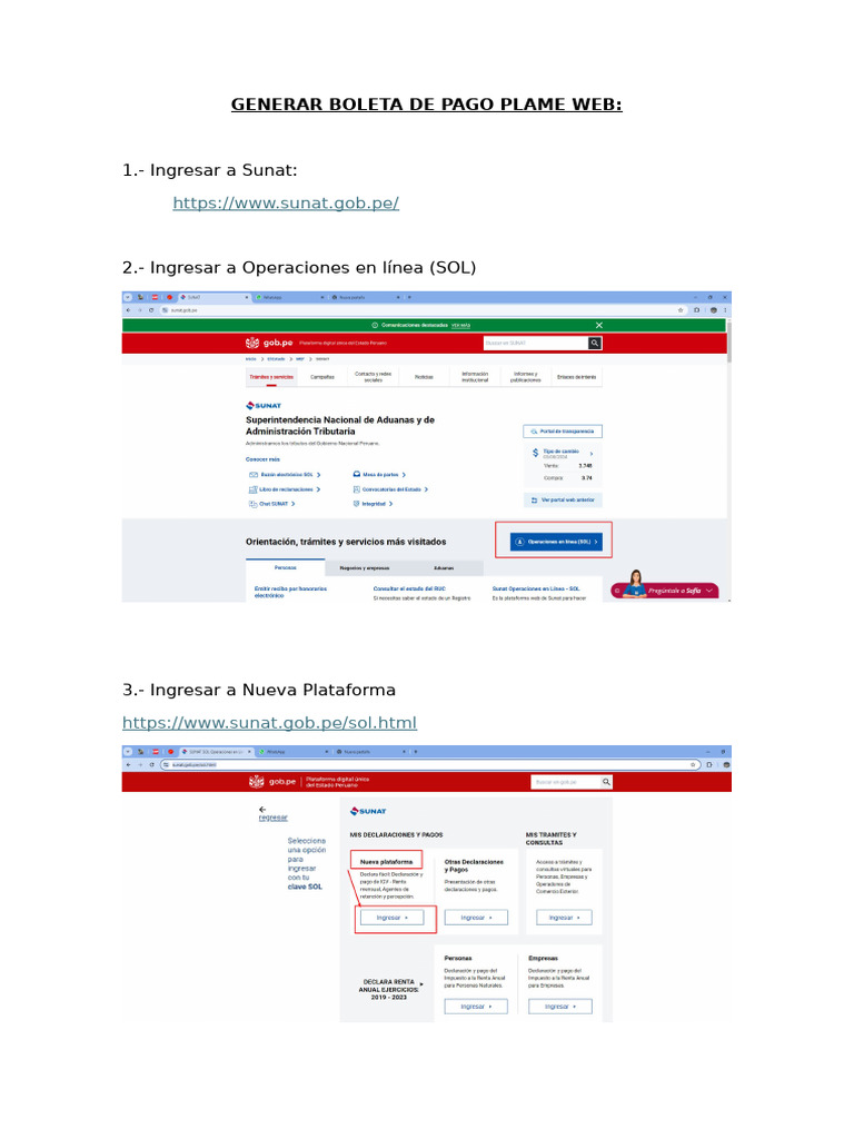 Guia para Generar BP - Plame Web | PDF