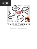 Overview of Business Ownership Types | PDF | Partnership | Sole ...