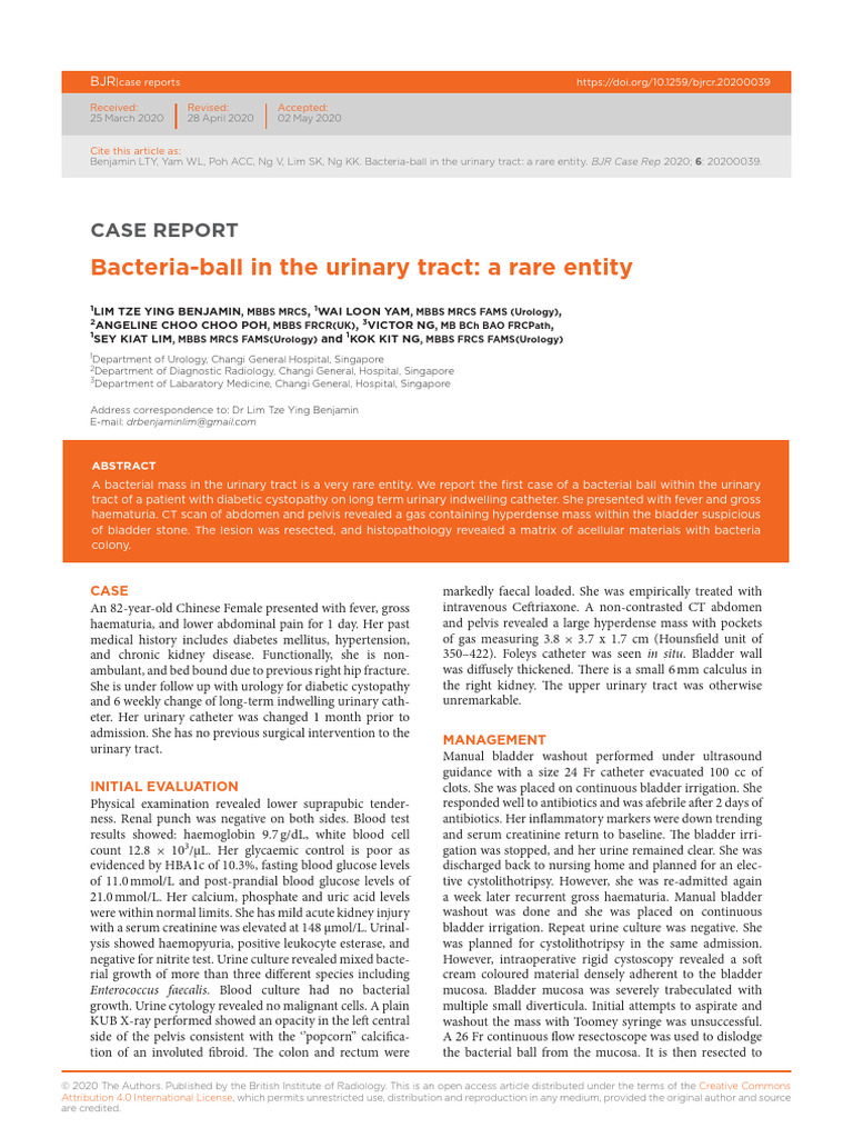 Bacteria-Ball in The Urinary Tract A Rare Entity | PDF | Kidney ...