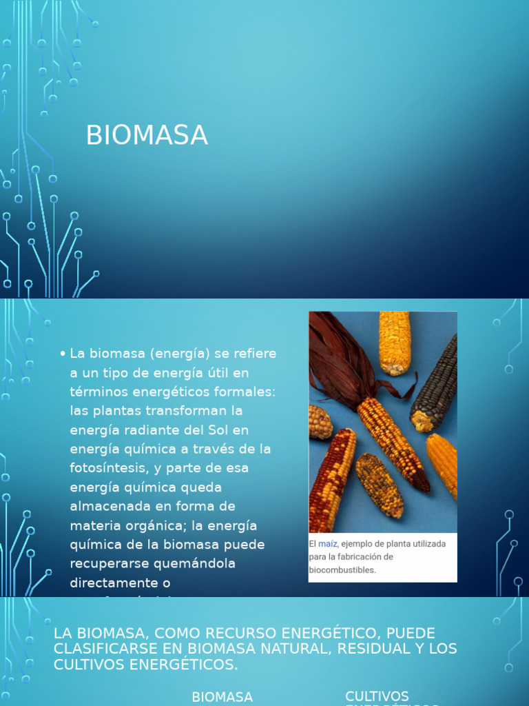 Tipos y Procesos de Biomasa Energética | PDF | Biomasa | Naturaleza