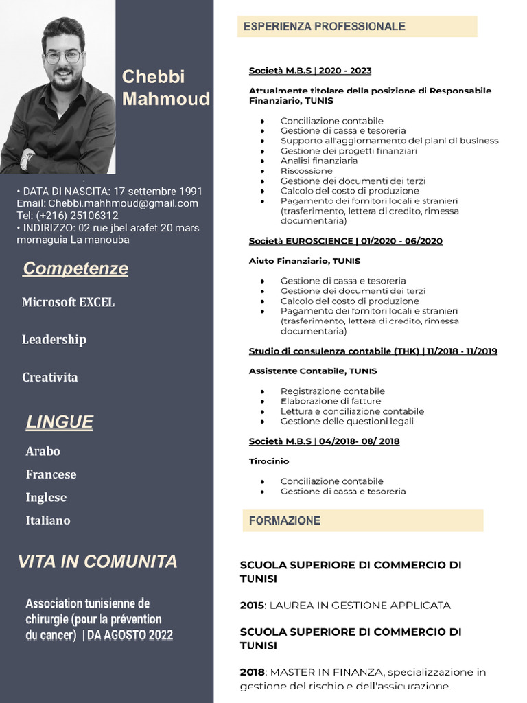CV Mahmoud Word It | PDF