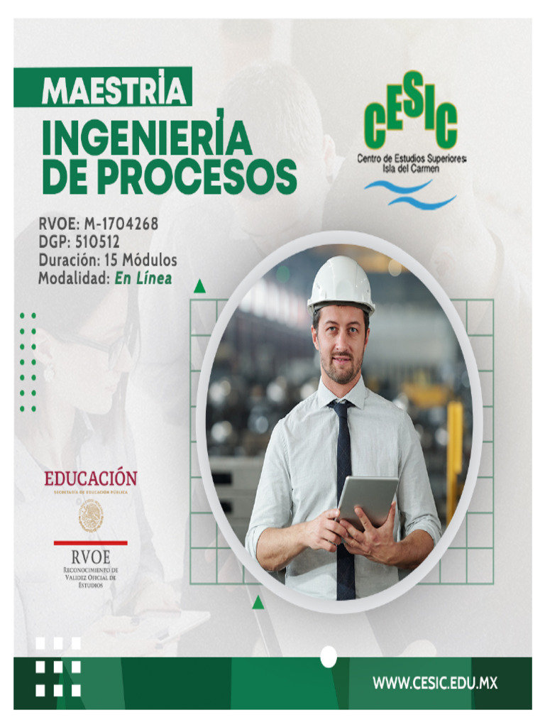 Ingeniería de Procesos | PDF