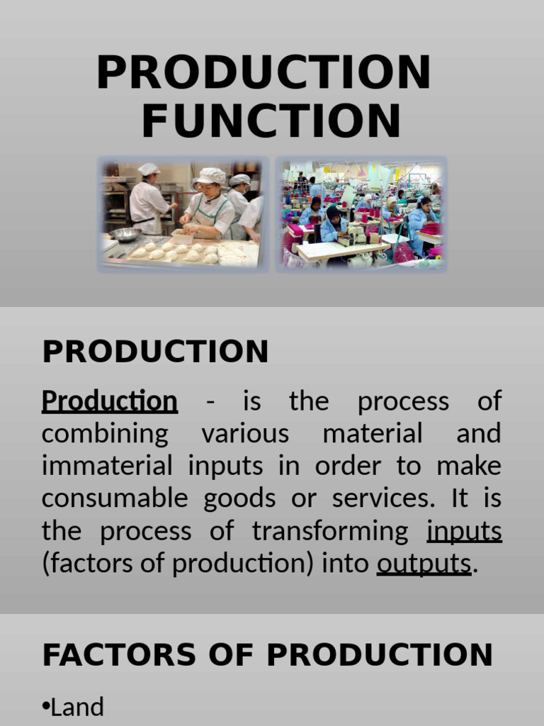 Production Function | PDF | Production Function | Factors Of Production