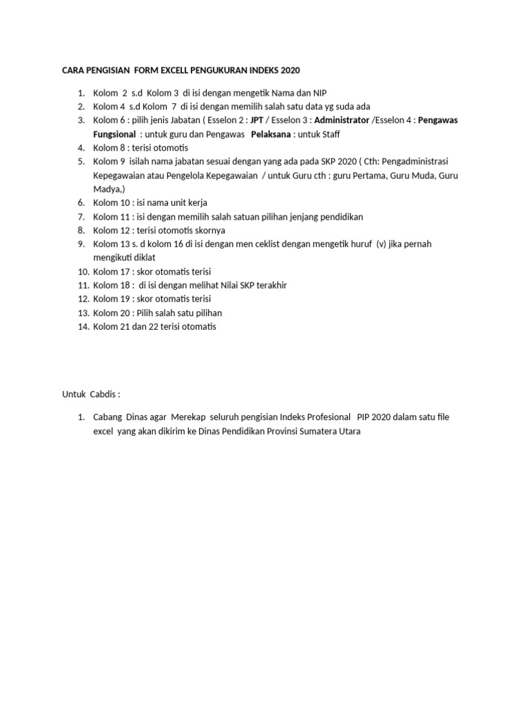 Cara Pengisian Form Excell Pengukuran Indeks 2020 | PDF