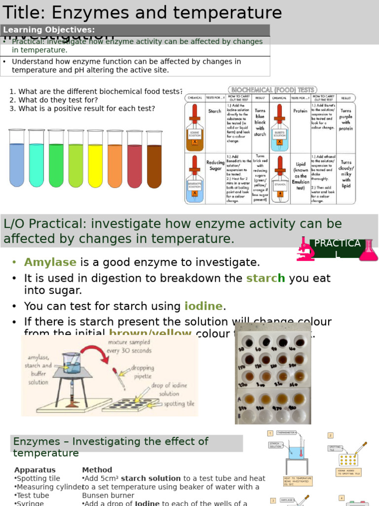10 Enzymes Practical | PDF | Active Site | Enzyme