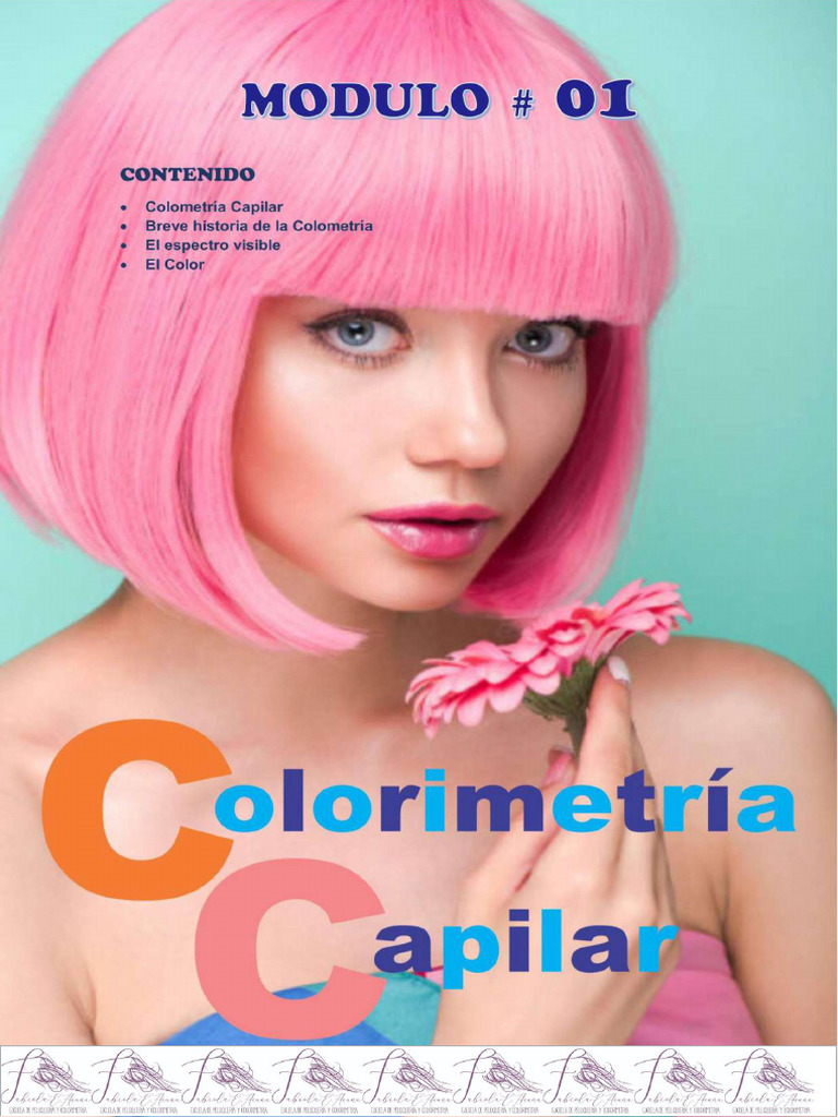 Clase 01 Colorimetria Historia y Color 2 | PDF