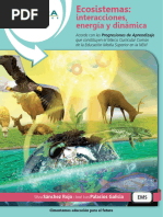 Estrategias de las 10R para el Reciclaje | PDF | Reciclaje | Residuos