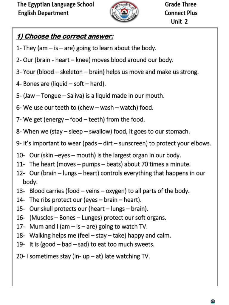 Connect Plus - Grade 3 - Practice On Unit 2 | PDF