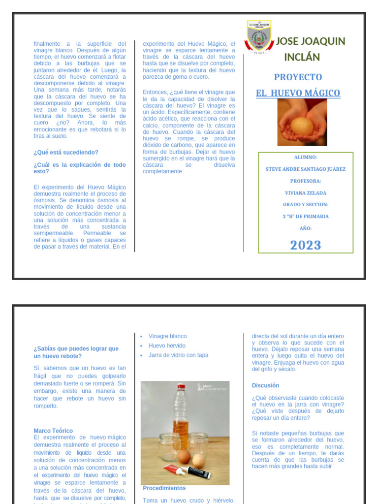 Experimento del Huevo Mágico: Ósmosis | PDF | Vinagre | Ósmosis