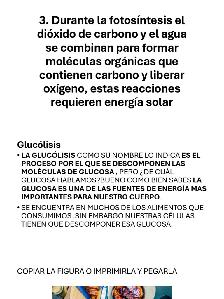 Glucólisis: Proceso y Funciones Energéticas | PDF | Glucólisis ...