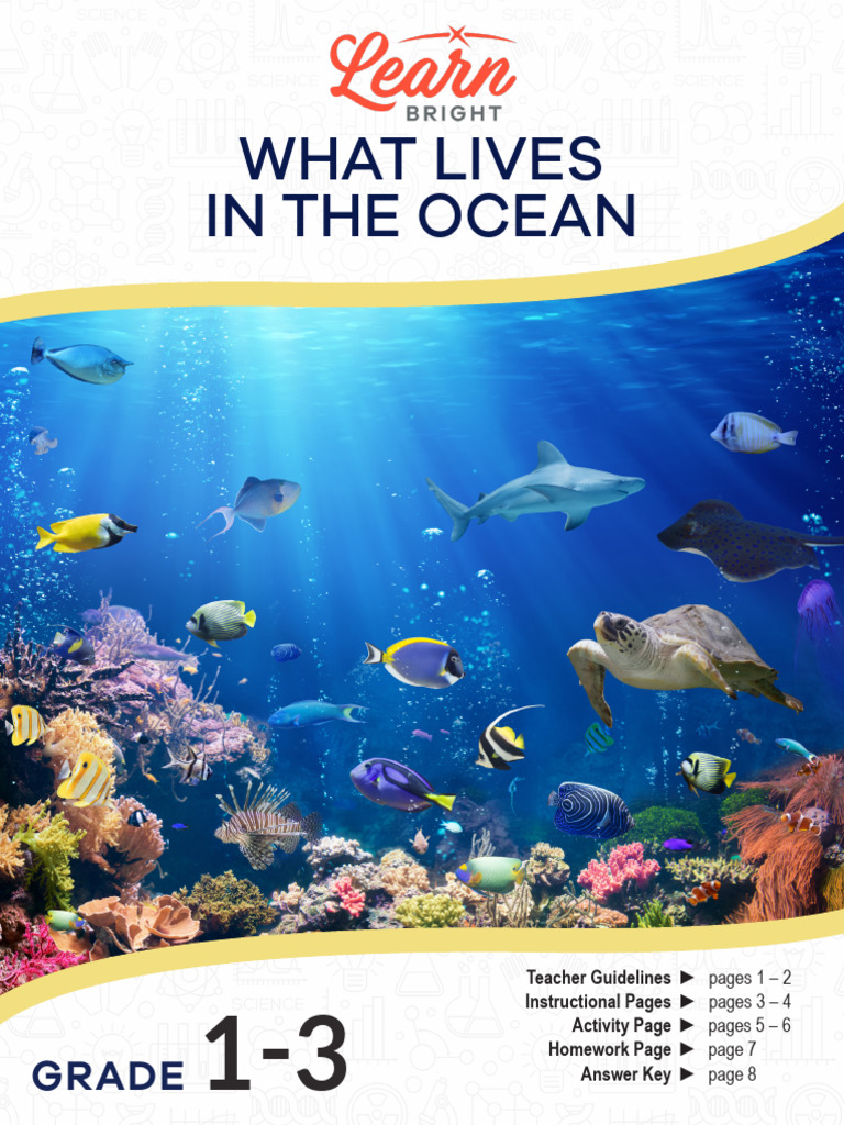 What-Lives-in-the-Ocean | PDF | Algae | Oceans