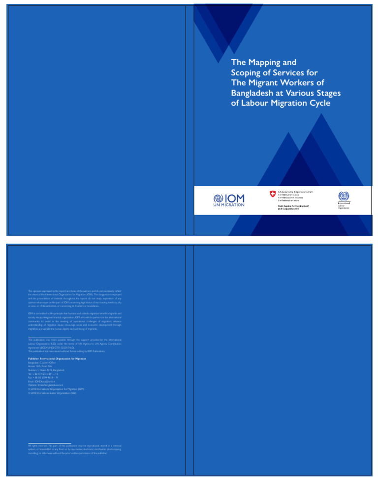 The Mapping and Scoping of Services forThe Migrant Workers of ...