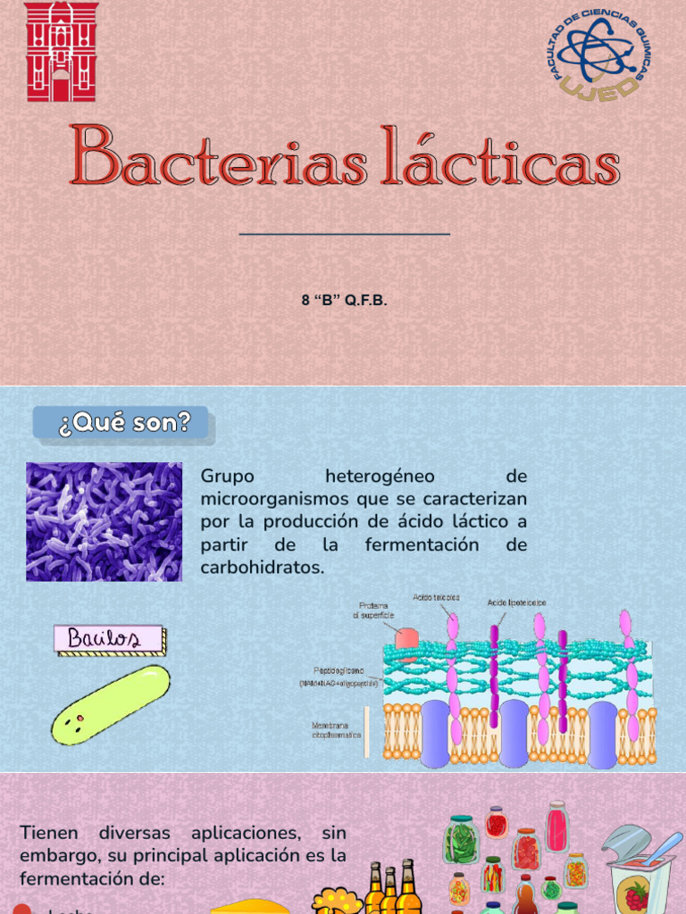 Bacterias Lácticas: Características y Usos | PDF | Yogur