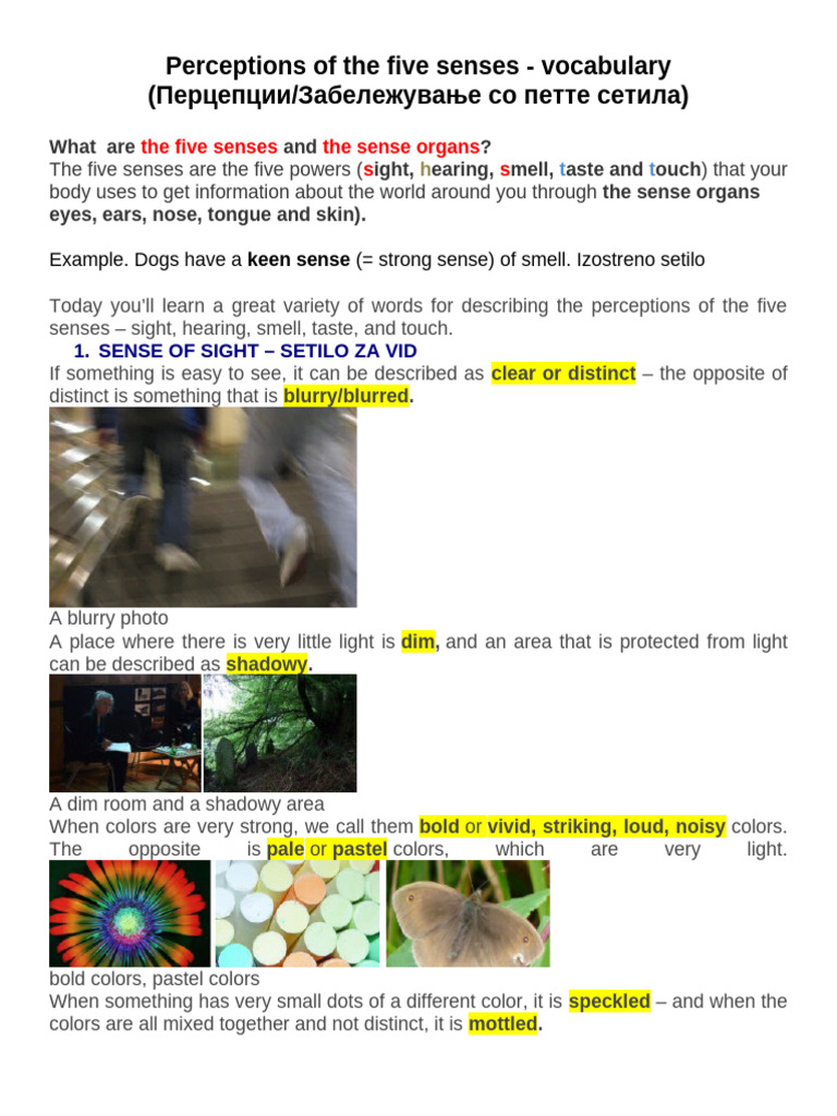 Perceptions of The Five Senses - b5bf8249 2cb8 40a7 A479 E6ba2b3ce8b3 ...