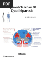 Pathological Reflexes | PDF | Anatomical Terms Of Motion | Toe