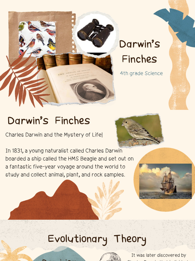 Charles Darwin's Finches - Science Class | PDF | Charles Darwin | Evolution