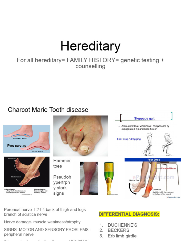 Hereditary | PDF | Muscular Dystrophy | Diseases And Disorders