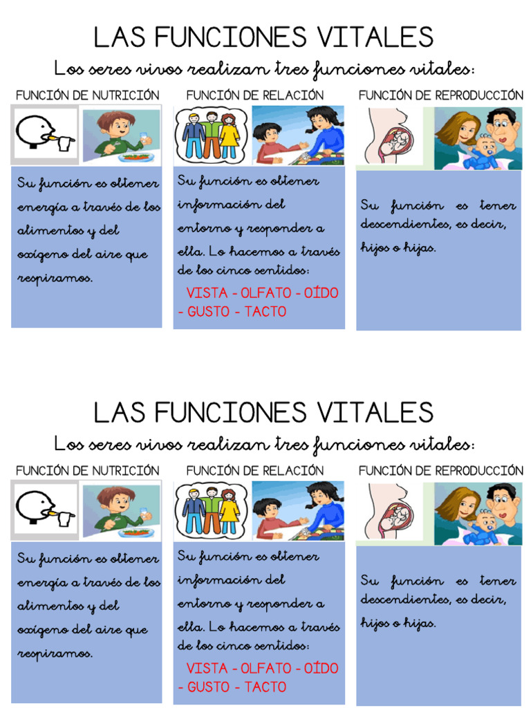 Tres funciones vitales de los seres vivos | PDF | Salud y bienestar