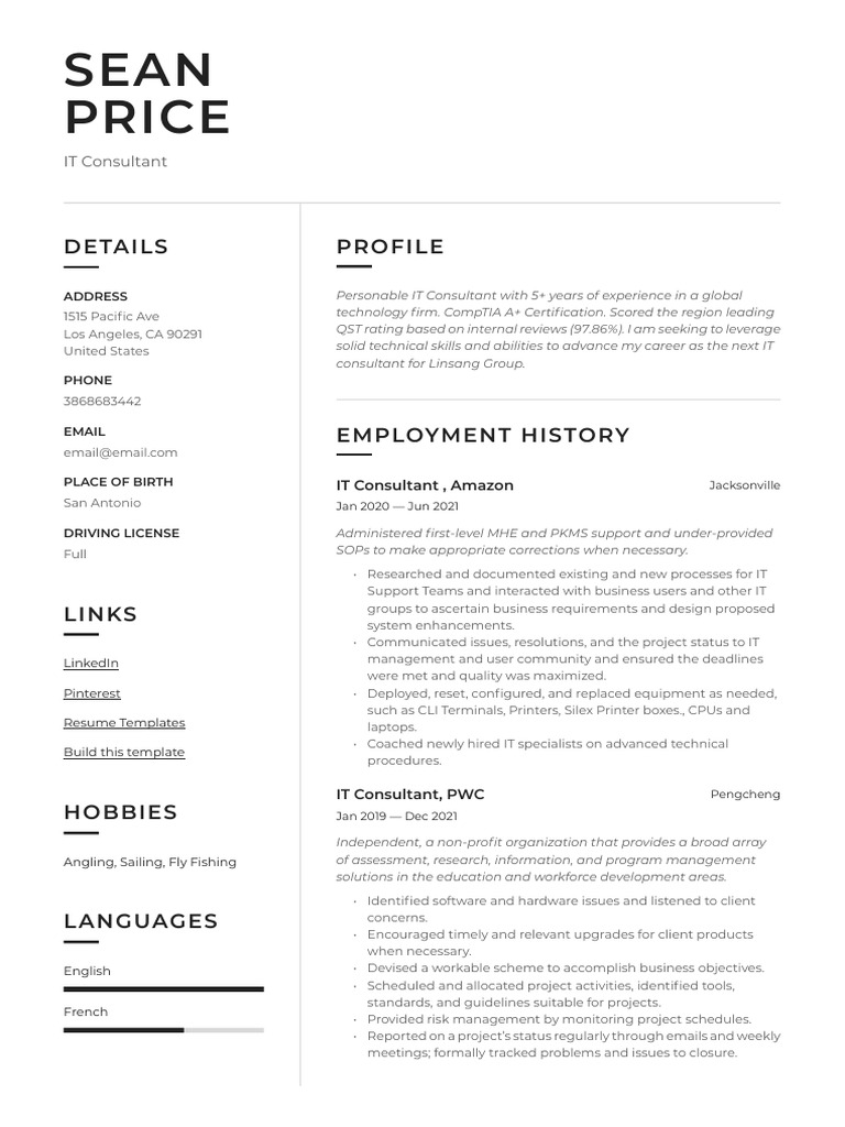 IT Consultant Resume for Berlin Roles | PDF | Computing | Business